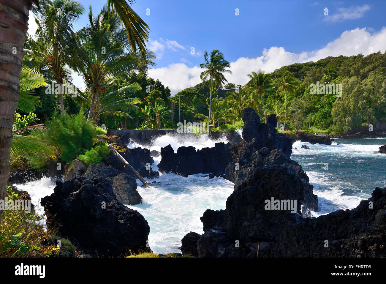 Lava rock outcrops and black sand beach along Hana Highway, Hana Coast ...