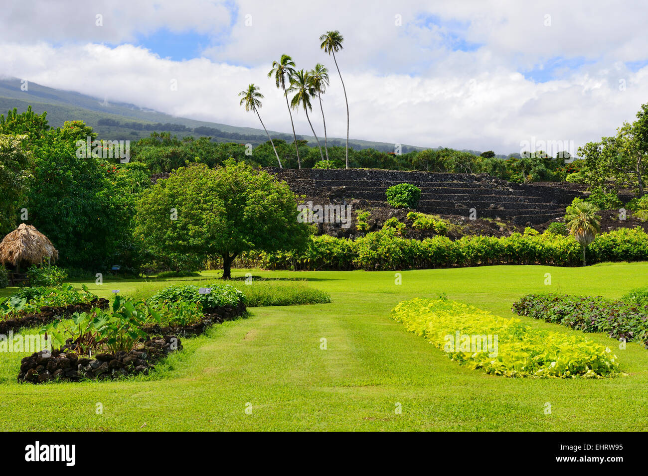 Hawaii pi'ilanihale heiau maui High Resolution Stock Photography and ...