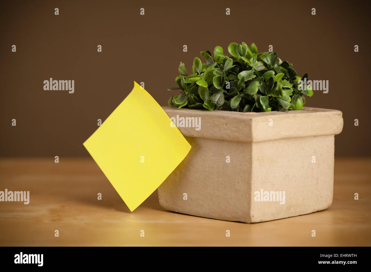 Empty post-it note sticked on flowerpot Stock Photo - Alamy