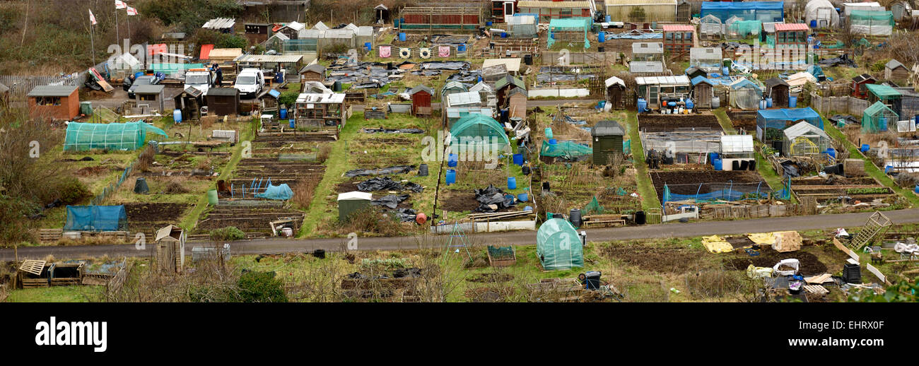 English allotment gardens in winter. Bristol Bedminster Down Stock ...