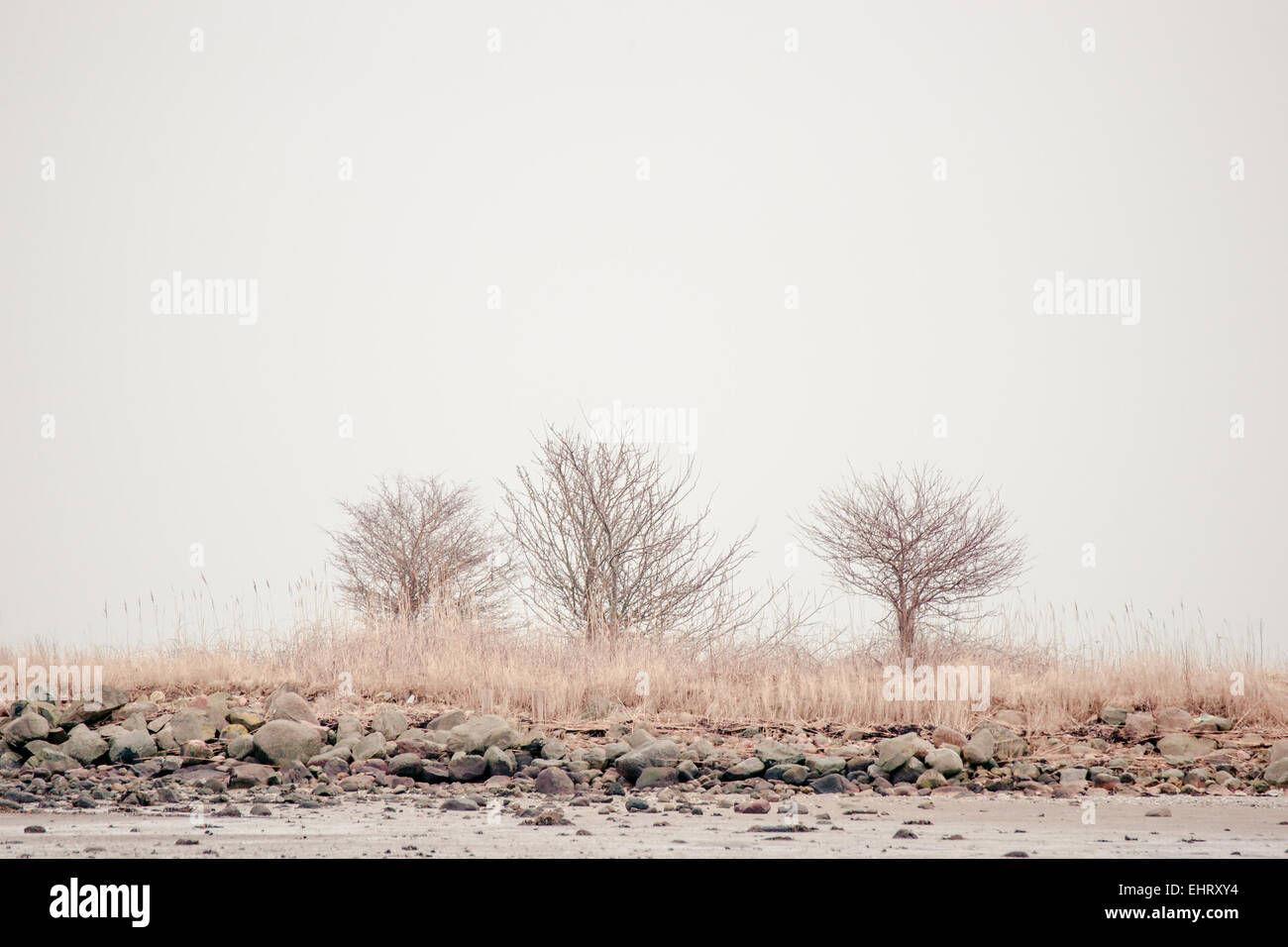 Lonely trees in silent winter landscape Stock Photo - Alamy