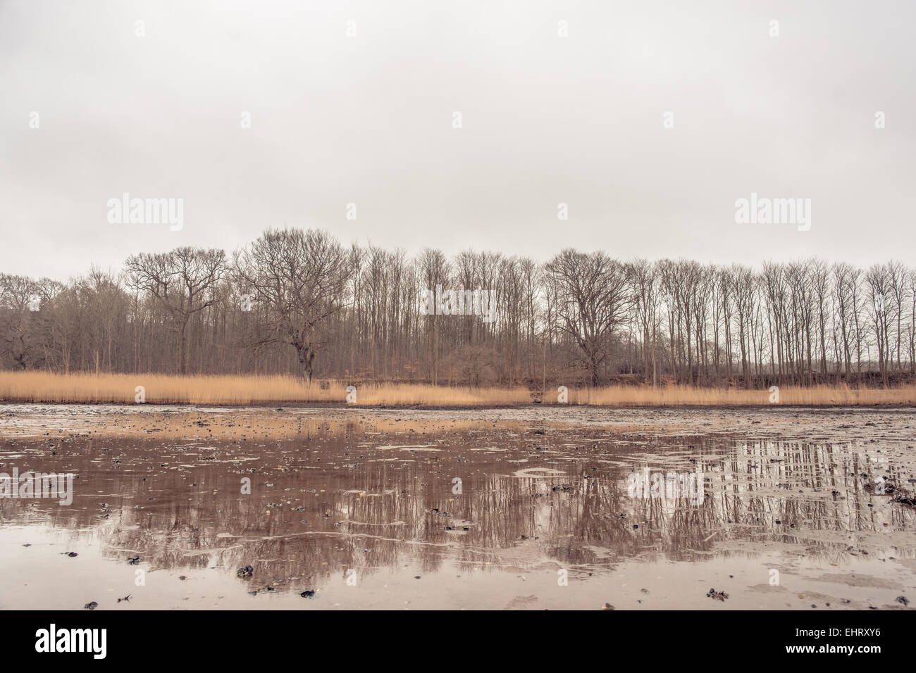 Idyllic lake scenery hi-res stock photography and images - Alamy
