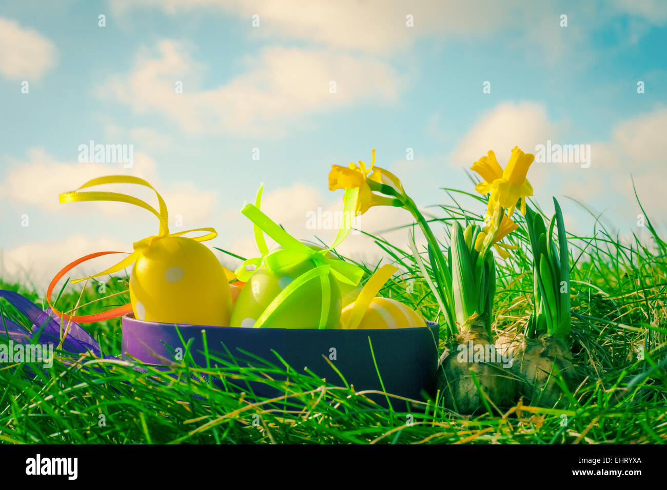 Easter egg basket in grass with daffodils Stock Photo - Alamy