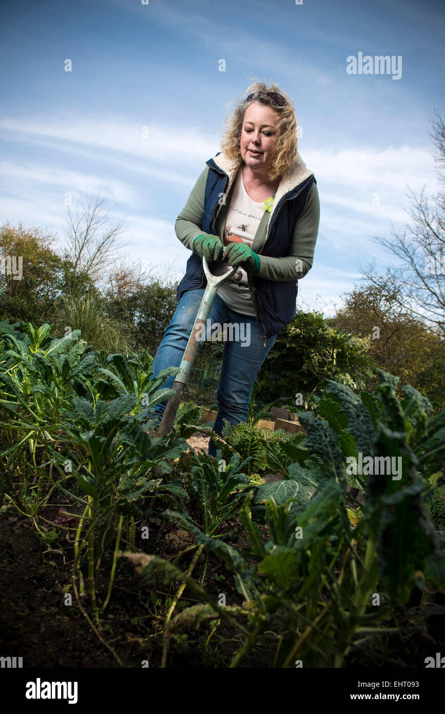 A middle aged woman digging in the garden with a blue sky in spring ...
