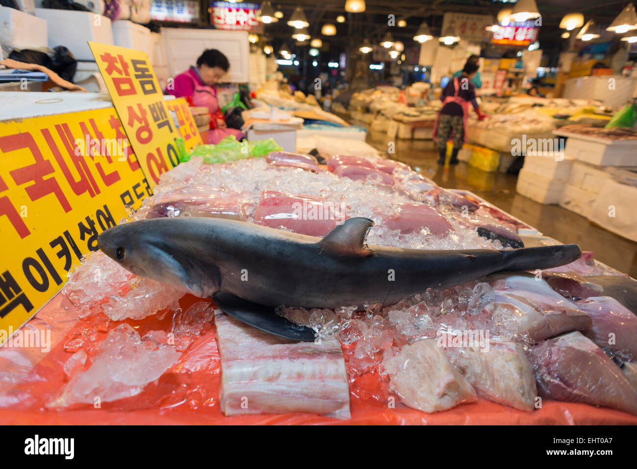 Asia, Republic of Korea, South Korea, Seoul, Noryangjin fish market ...