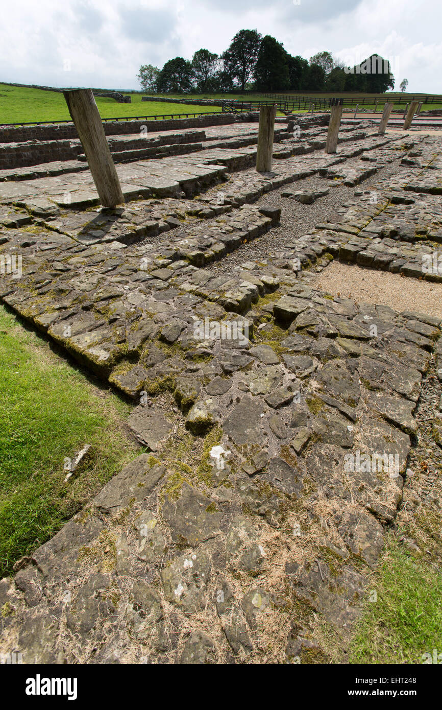 Picturesque view of Birdoswald Roman Fort building foundations and ...