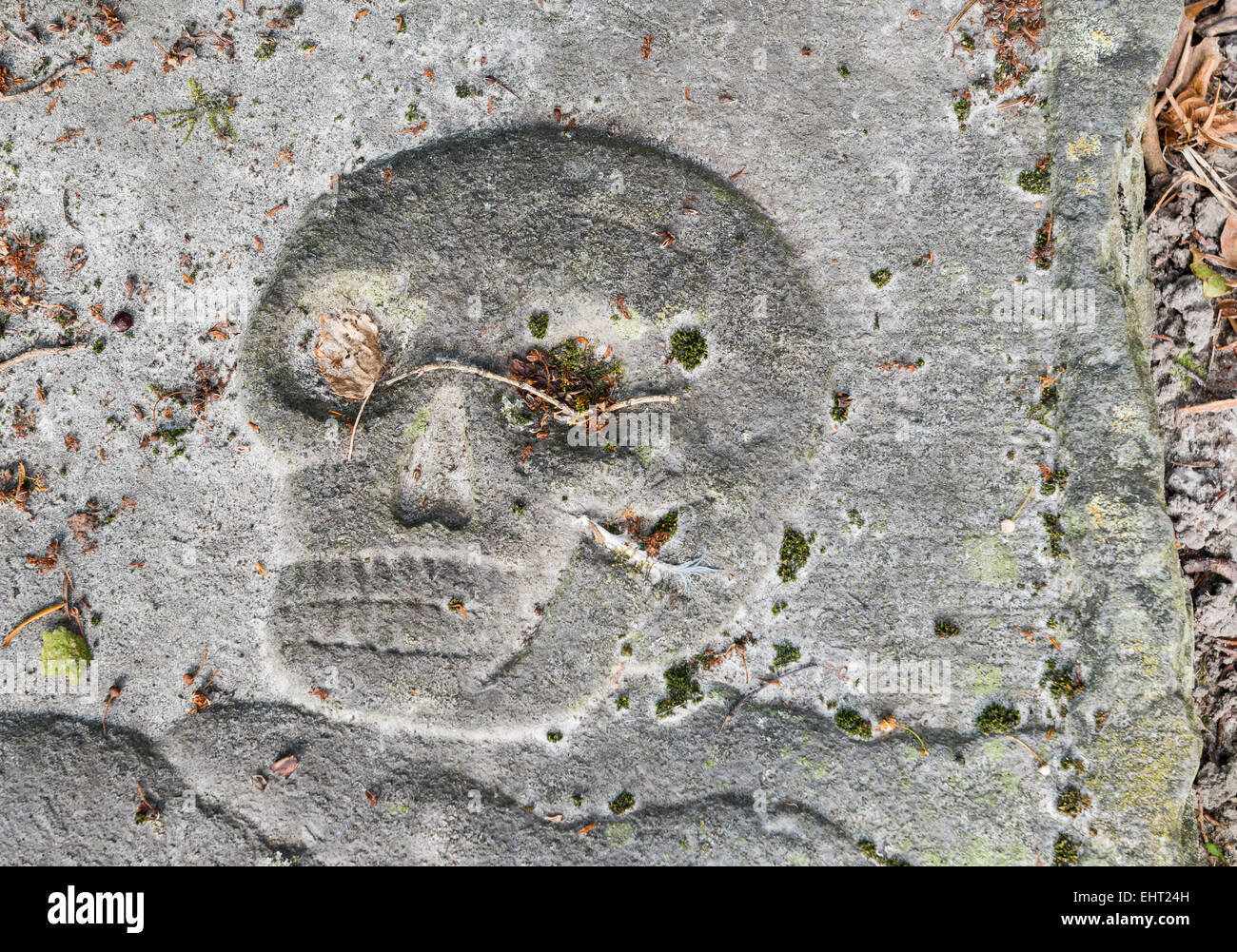 Skull in a gravestone on a graveyard in Usquert in the province of ...