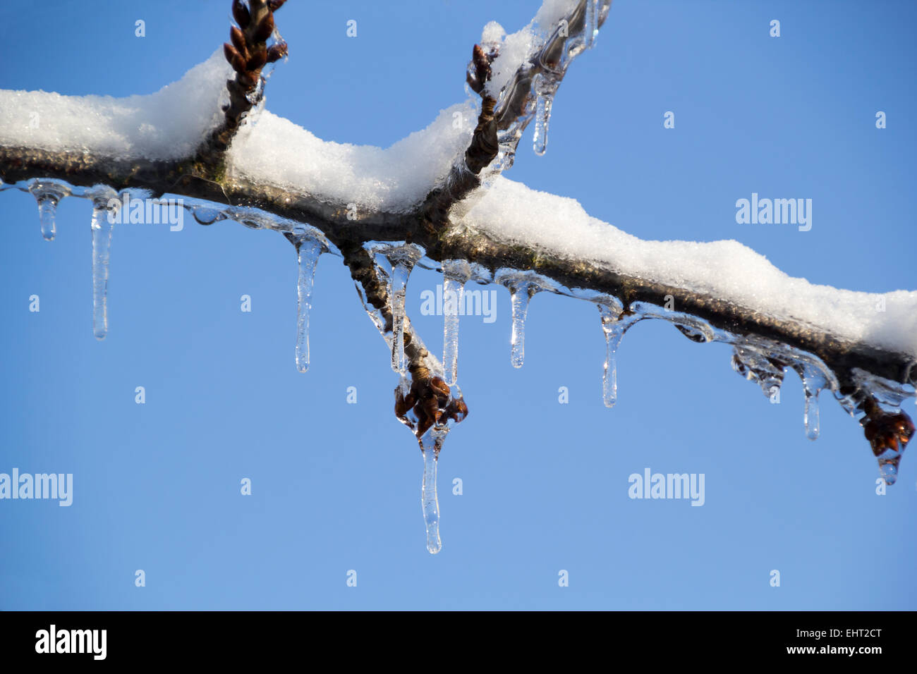 Ice and snow in the morning Stock Photo - Alamy