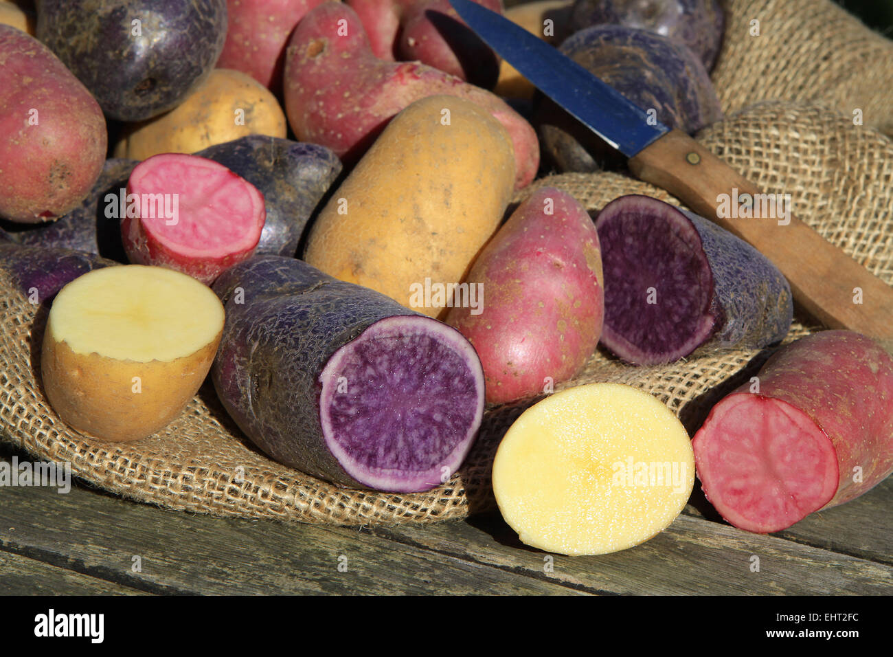 Bamberger potato hi-res stock photography and images - Alamy