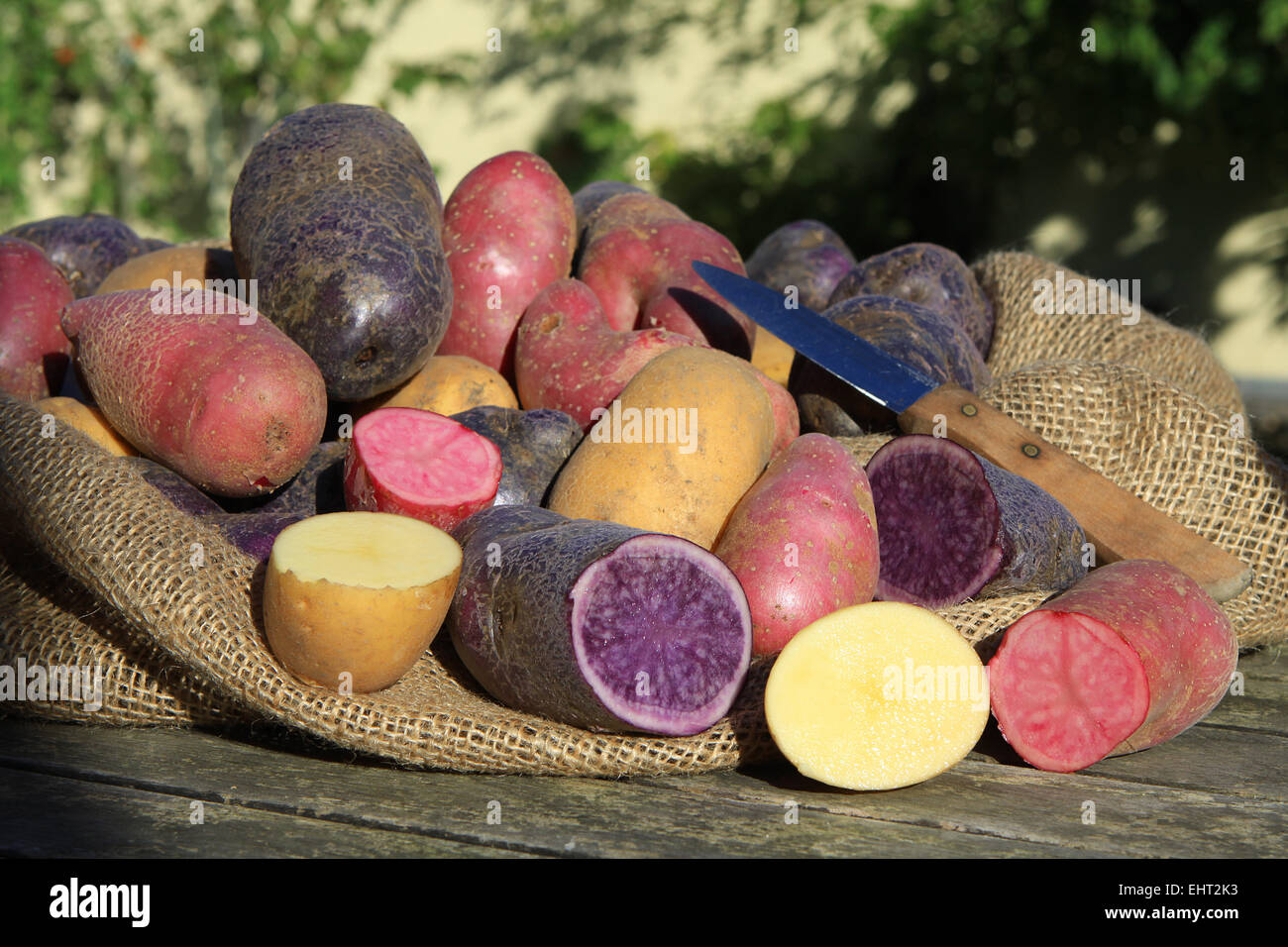 Bamberger potato hi-res stock photography and images - Alamy