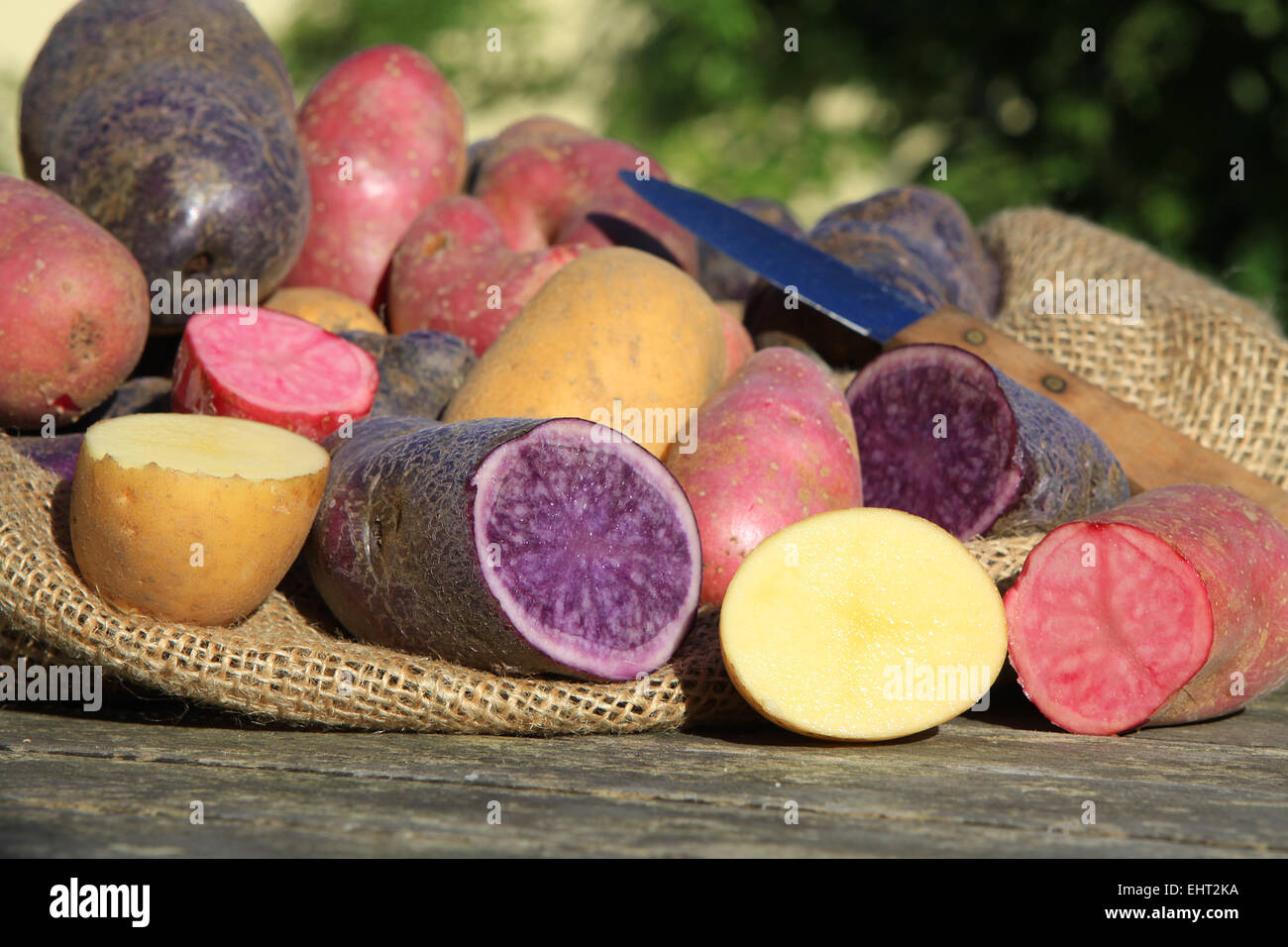 Bamberger potato hi-res stock photography and images - Alamy