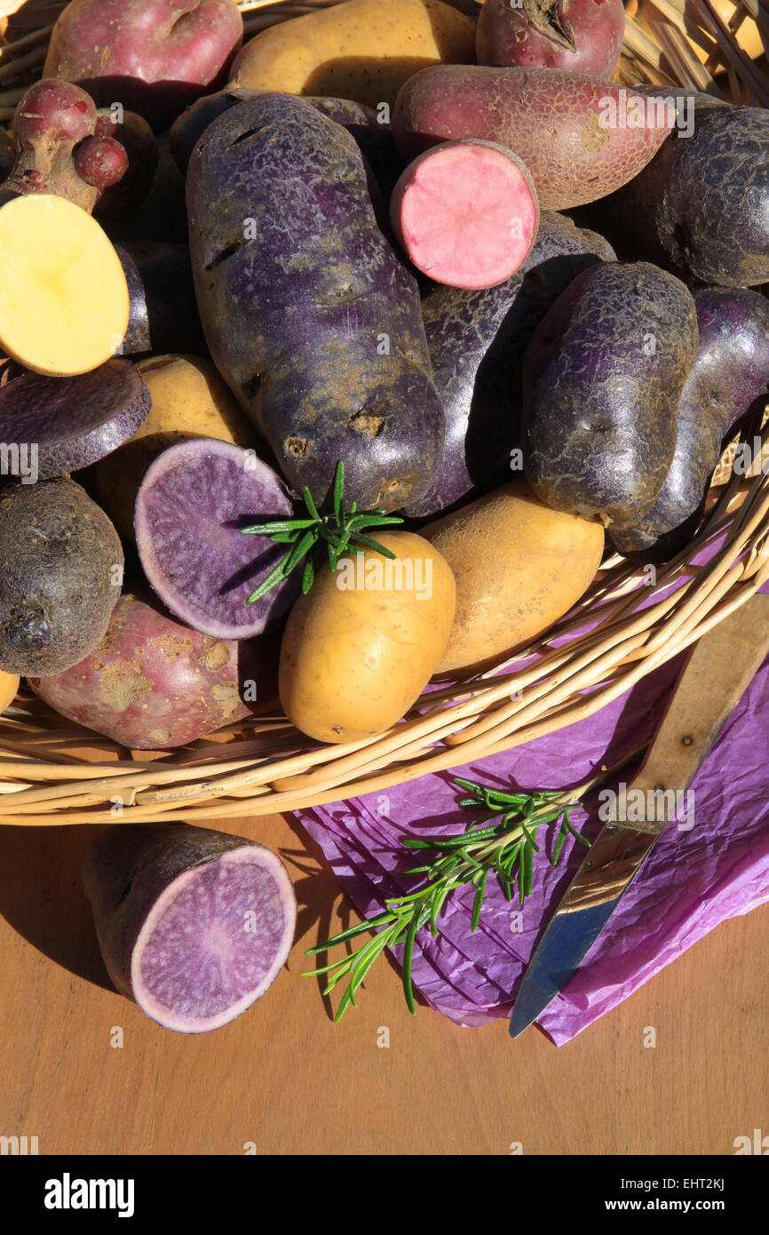 Bamberger potato hi-res stock photography and images - Alamy