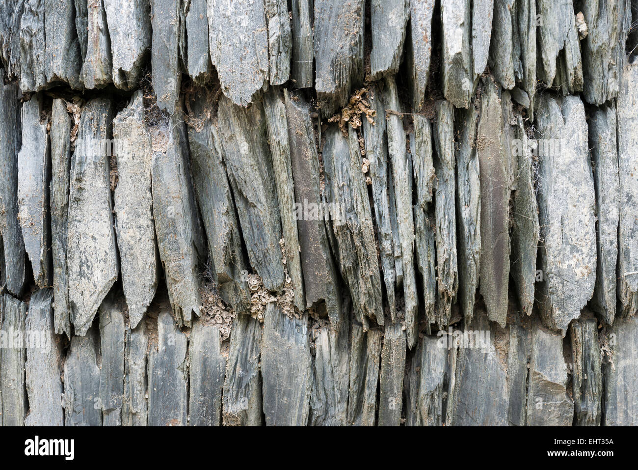 Grey slate wall Stock Photo - Alamy