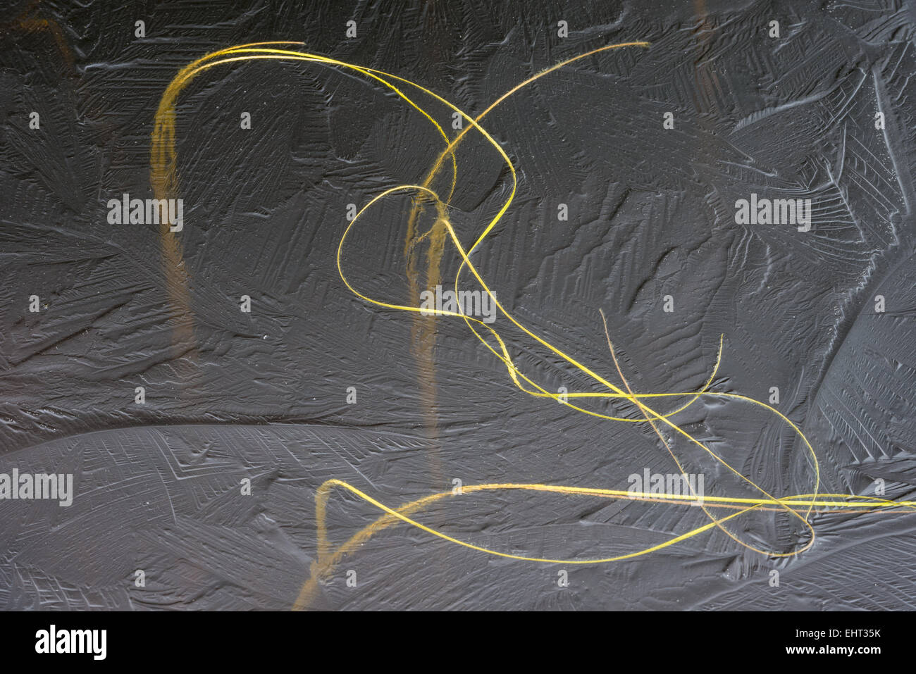 reed frozen in ice, Lapland, Sweden Stock Photo - Alamy