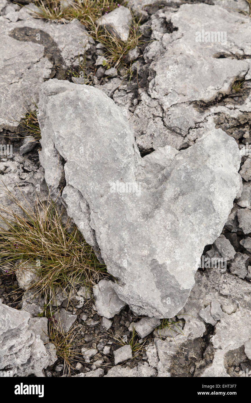 Shor national park hi-res stock photography and images - Alamy