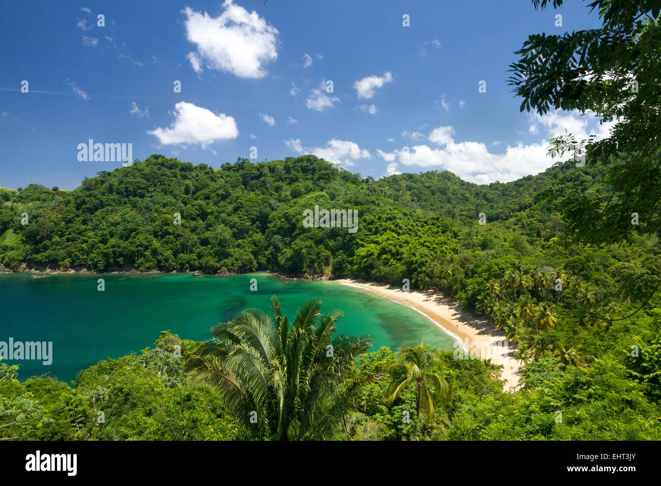 View of Parlatuvier Bay on the Island of Tobago West Indies Stock Photo ...