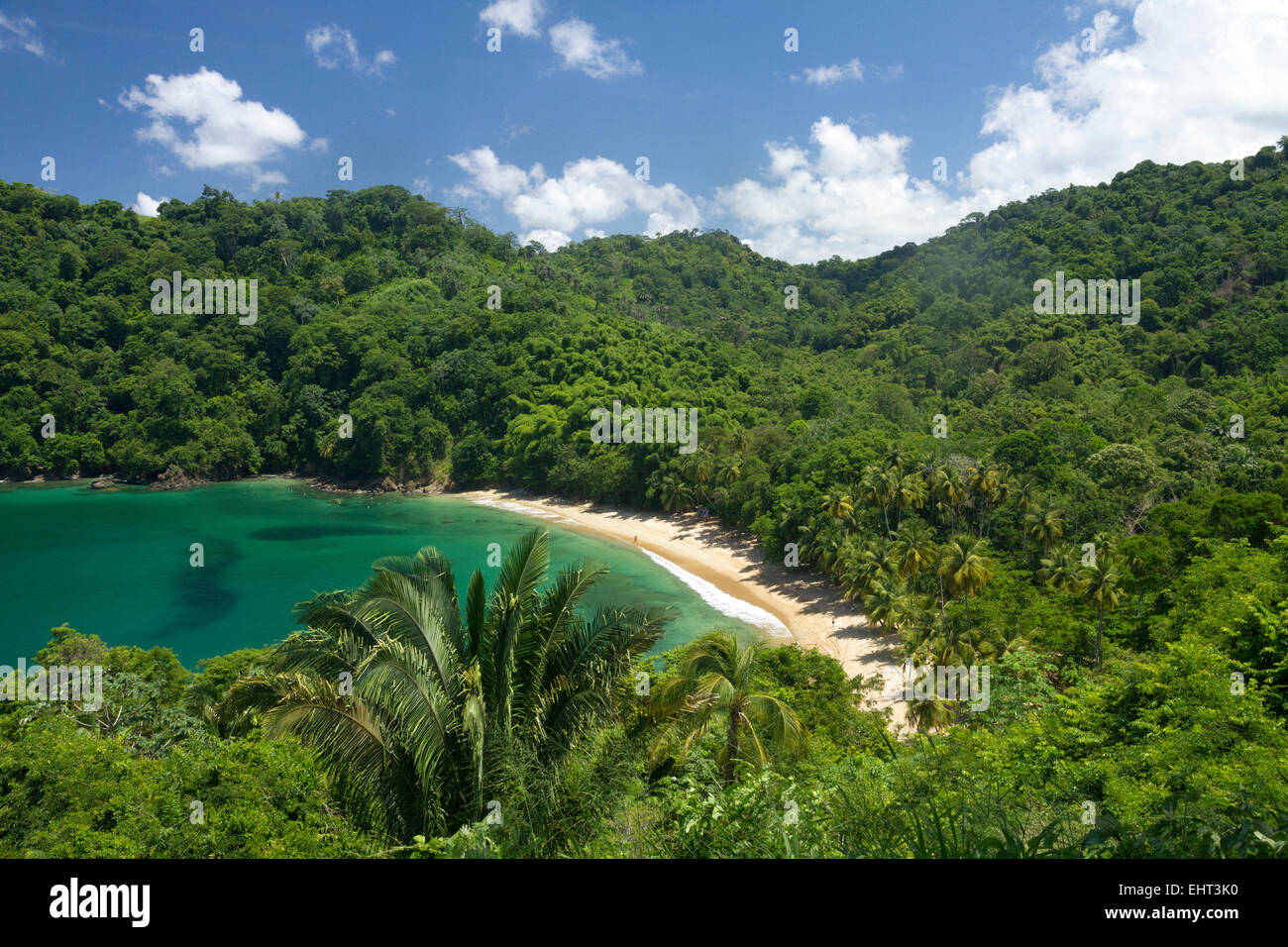 Parlatuvier bay, tobago hi-res stock photography and images - Alamy