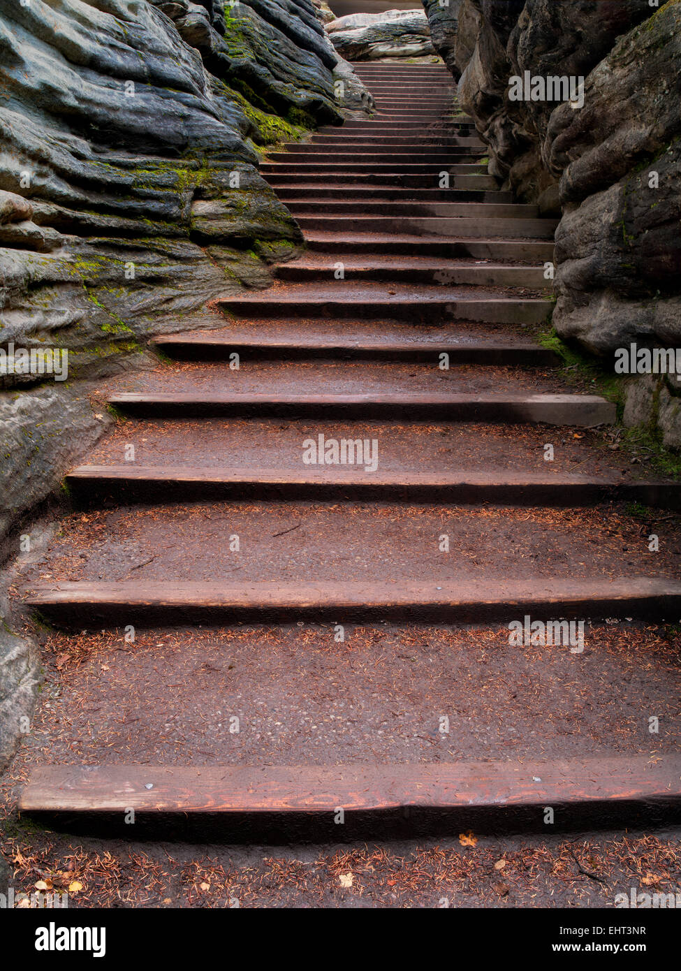 Stairs through narrow canyon. At Athebasca Falls. Jasper National Park ...