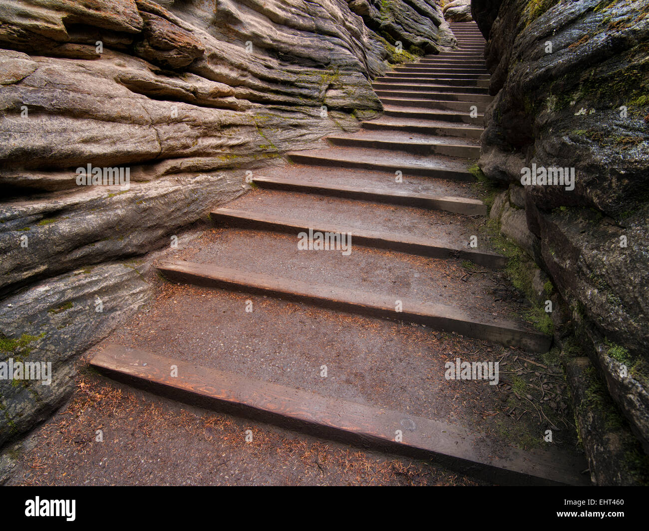 Stairs through narrow canyon. At Athebasca Falls. Jasper National Park ...