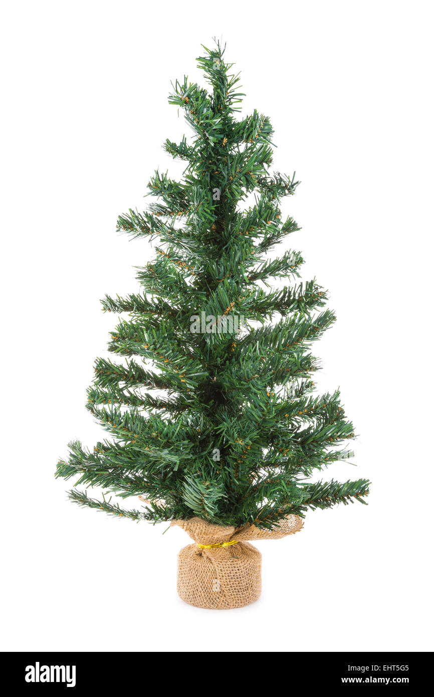 Undecorated Christmas Tree Stock Photos & Undecorated Christmas Tree ...