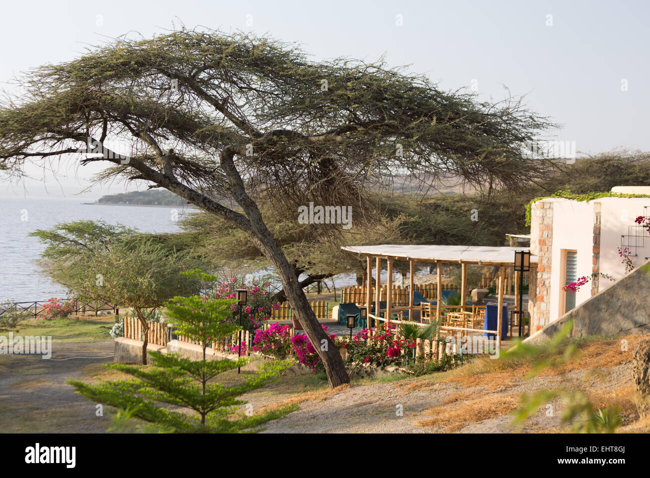 Shores of Langano Lake Stock Photo - Alamy