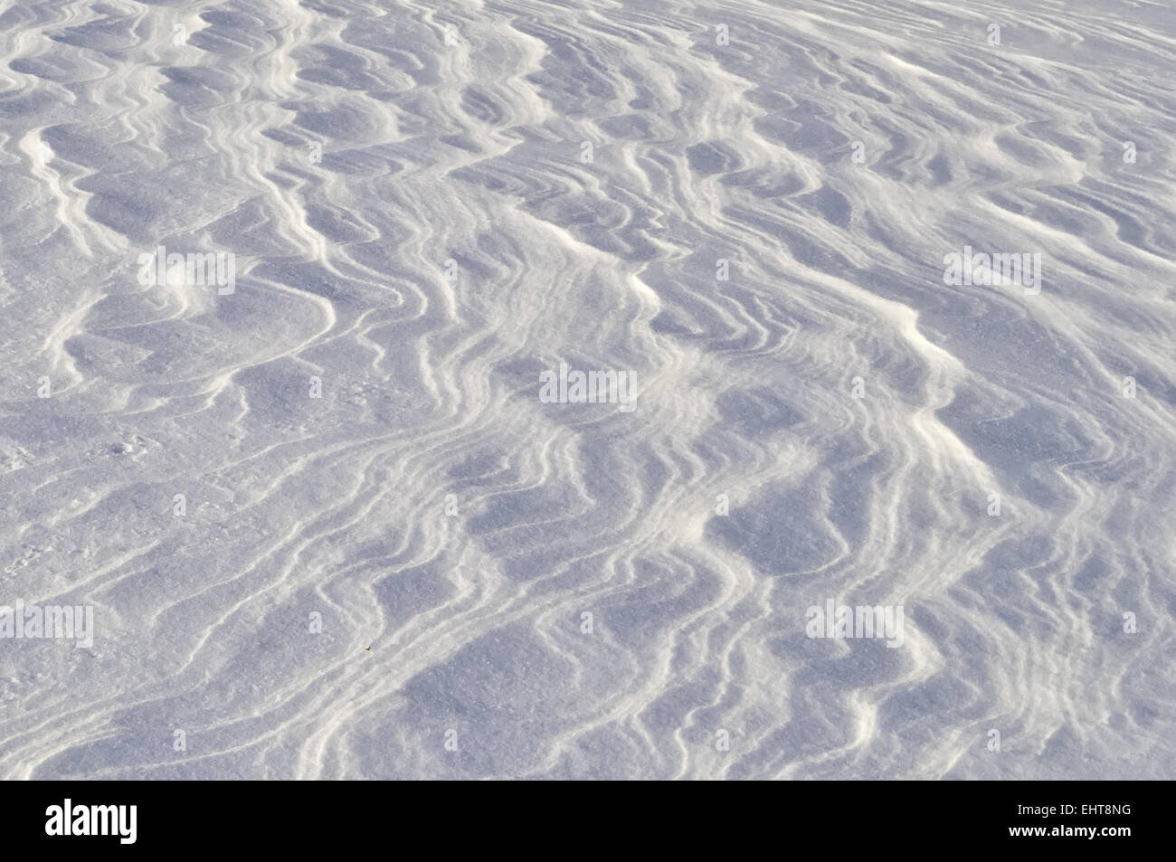Windy snow surface background Stock Photo - Alamy