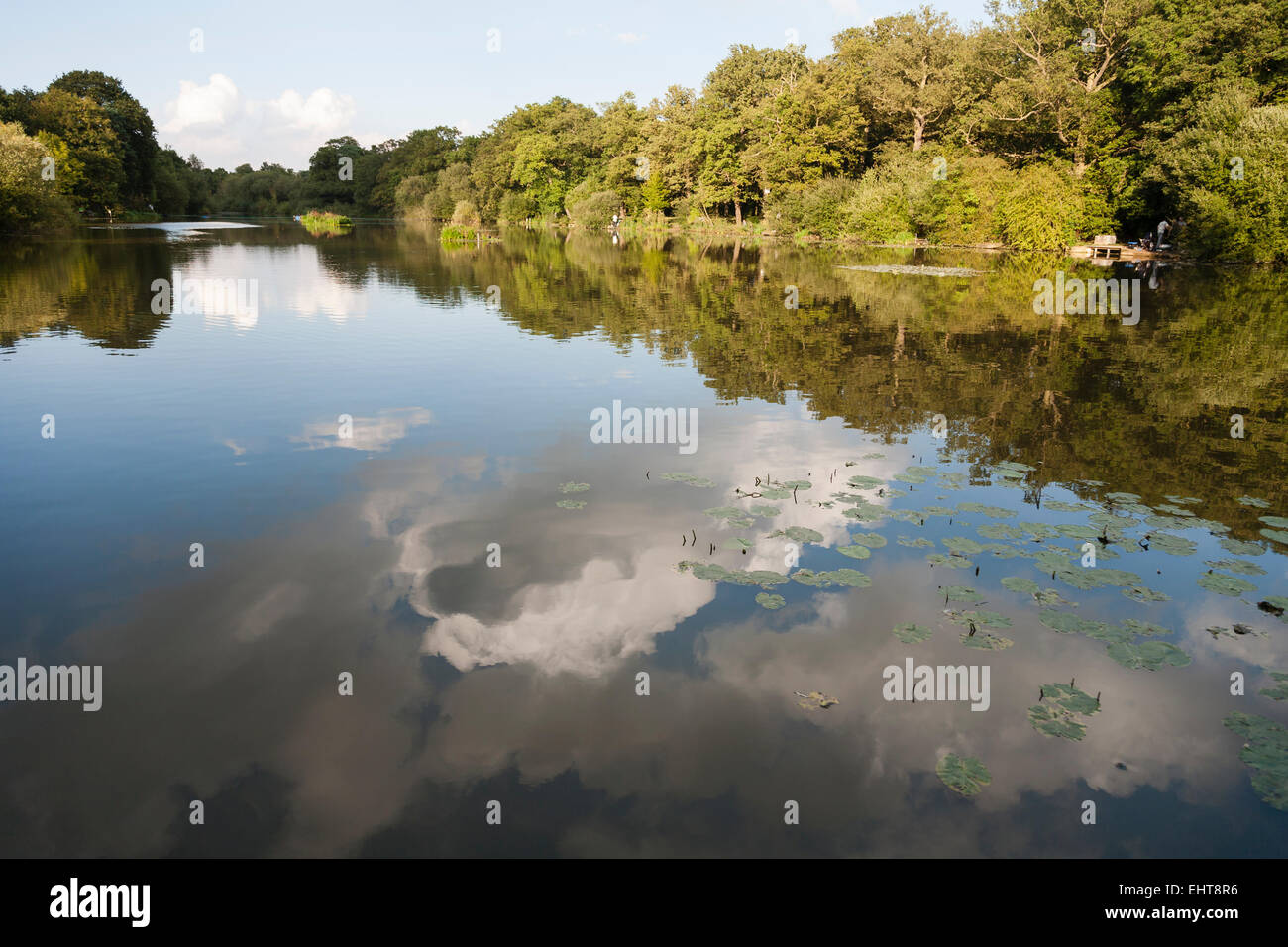 Beech hill hi-res stock photography and images - Alamy