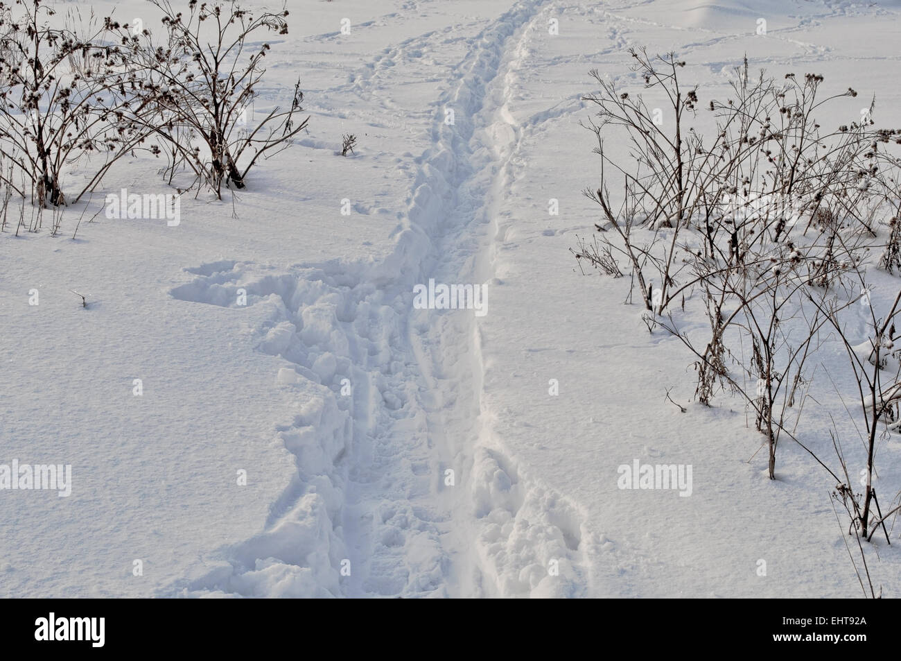 Quiet outdoor path in hi-res stock photography and images - Alamy