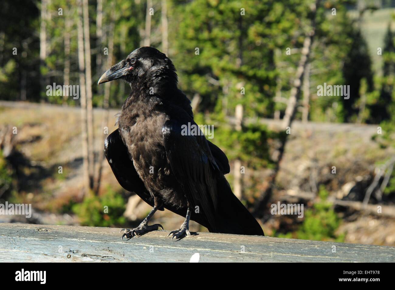 Wyoming rail hi-res stock photography and images - Alamy