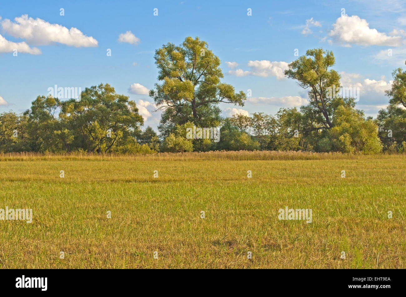 Sloping field in autumn Stock Photo - Alamy