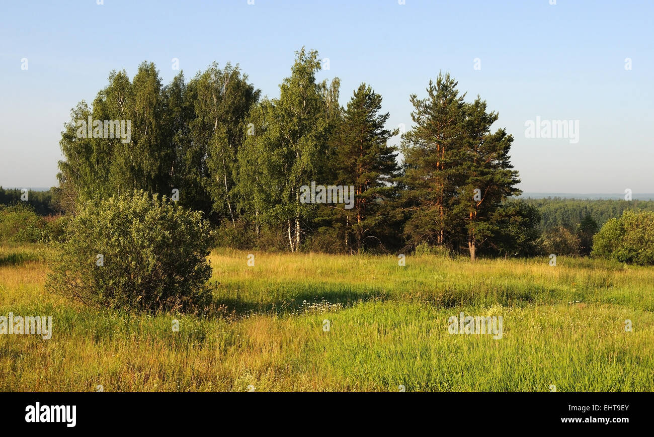 Empty glade hi-res stock photography and images - Alamy