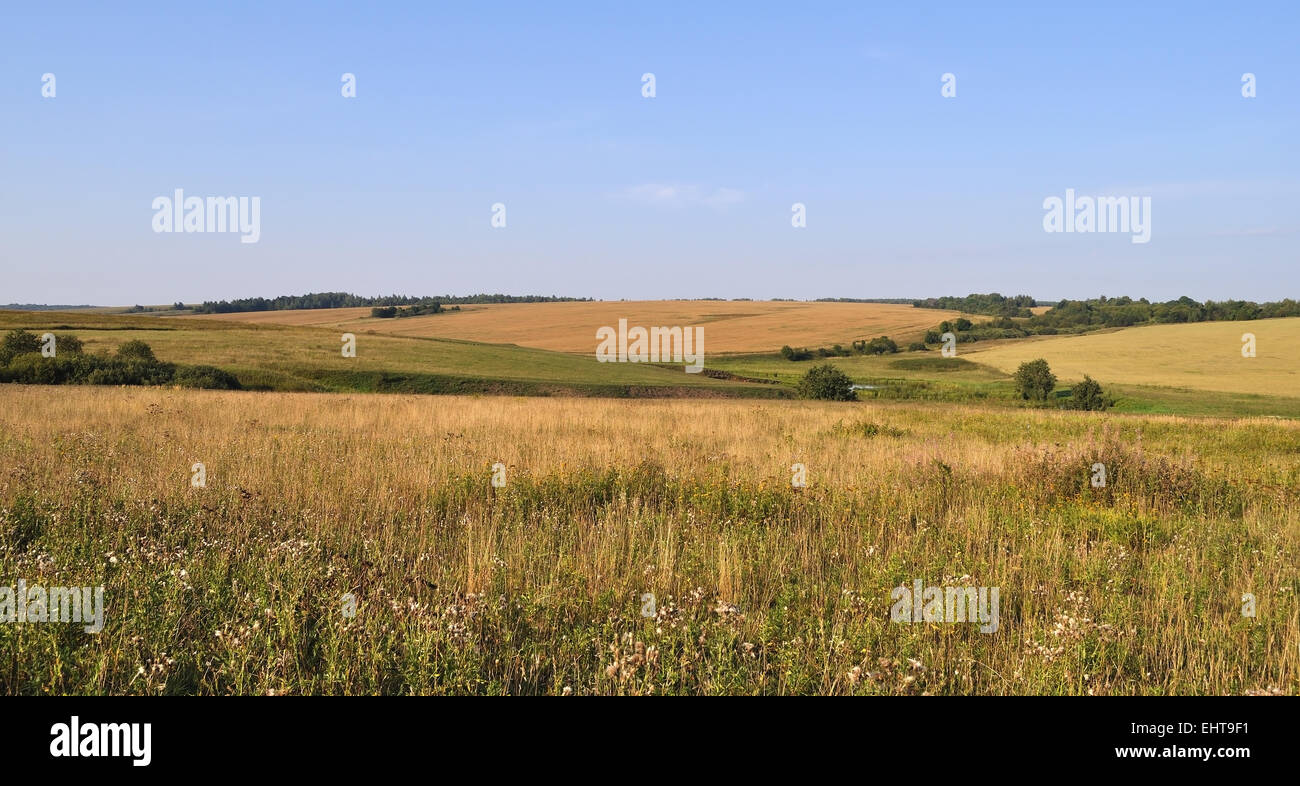 Hilly fields hi-res stock photography and images - Alamy