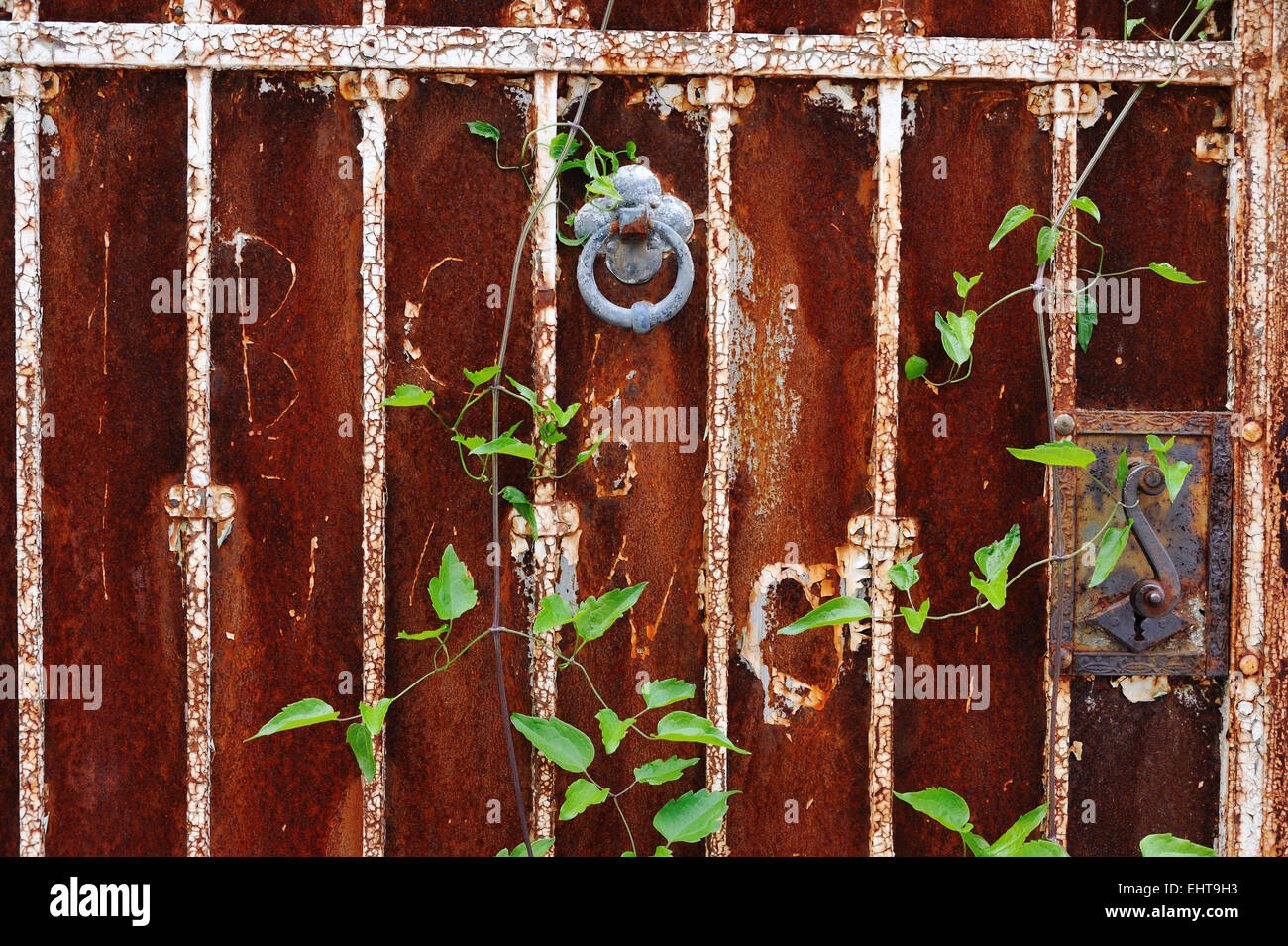 Door rapper hi-res stock photography and images - Alamy