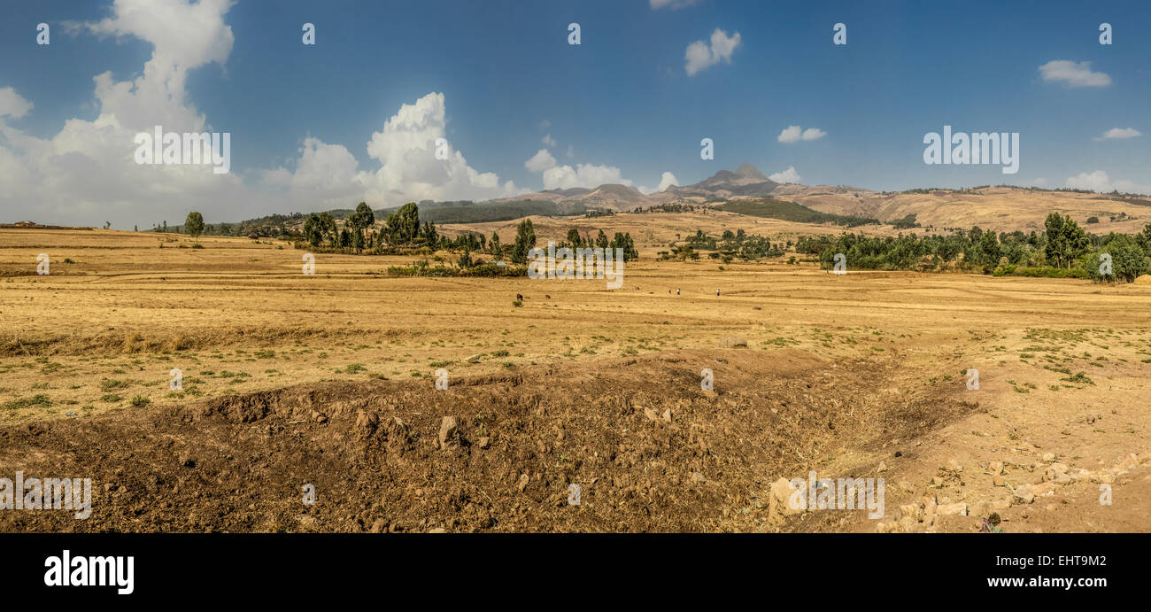 Suba hi-res stock photography and images - Alamy