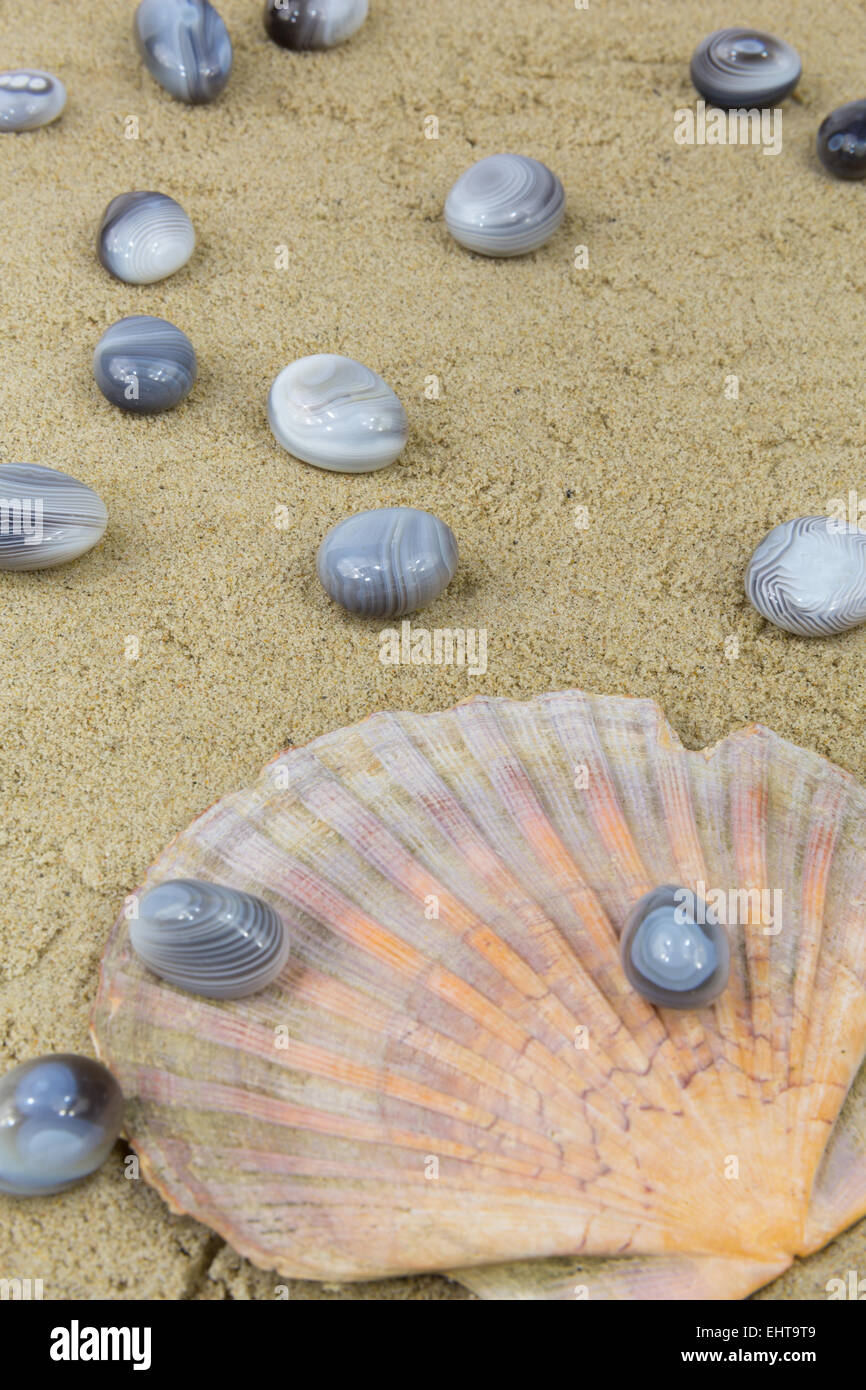 Mussels and agate in sand Stock Photo - Alamy