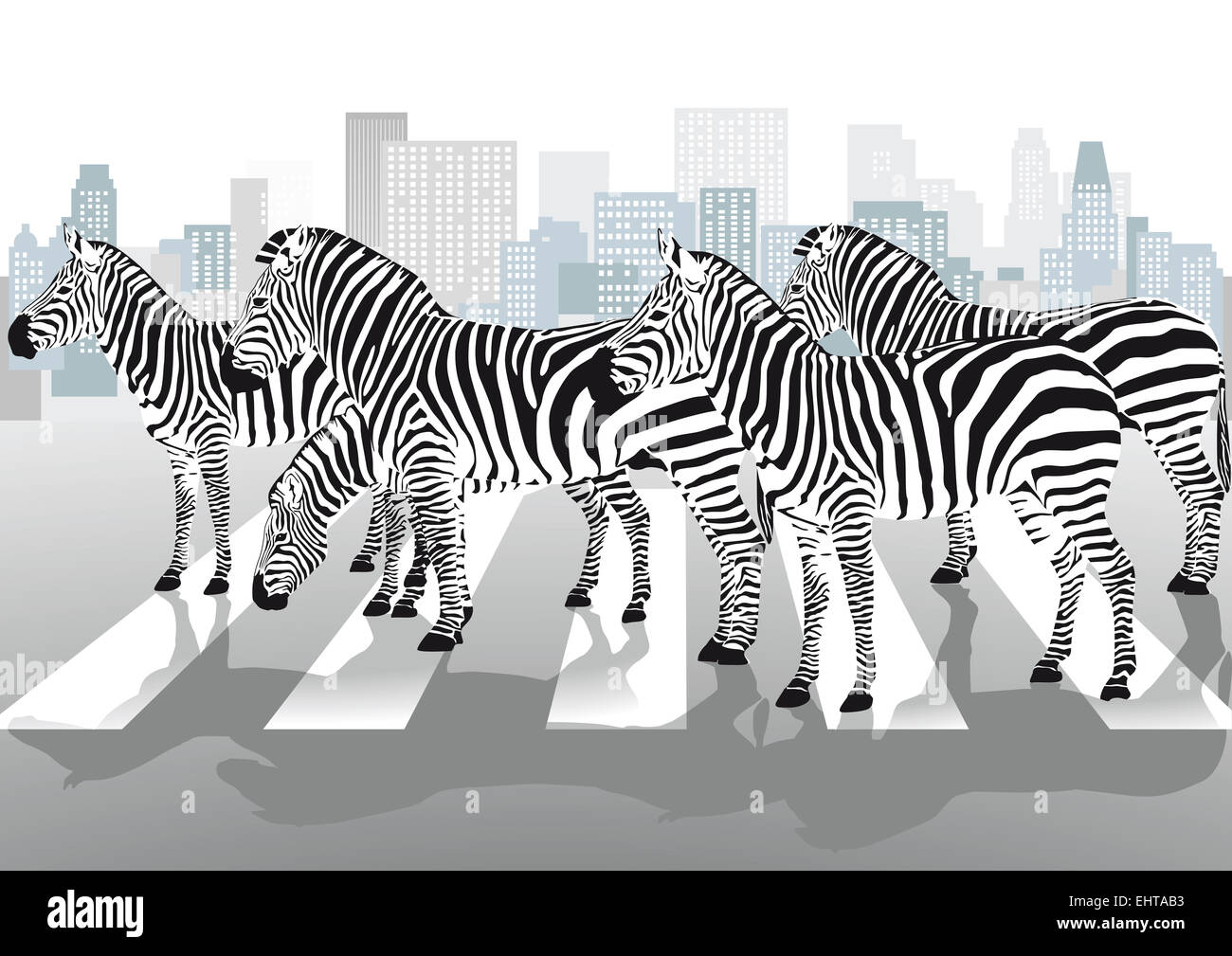Zebras on pedestrian crossing Stock Photo - Alamy