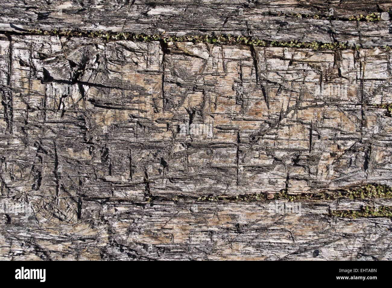 Rugged texture hi-res stock photography and images - Alamy