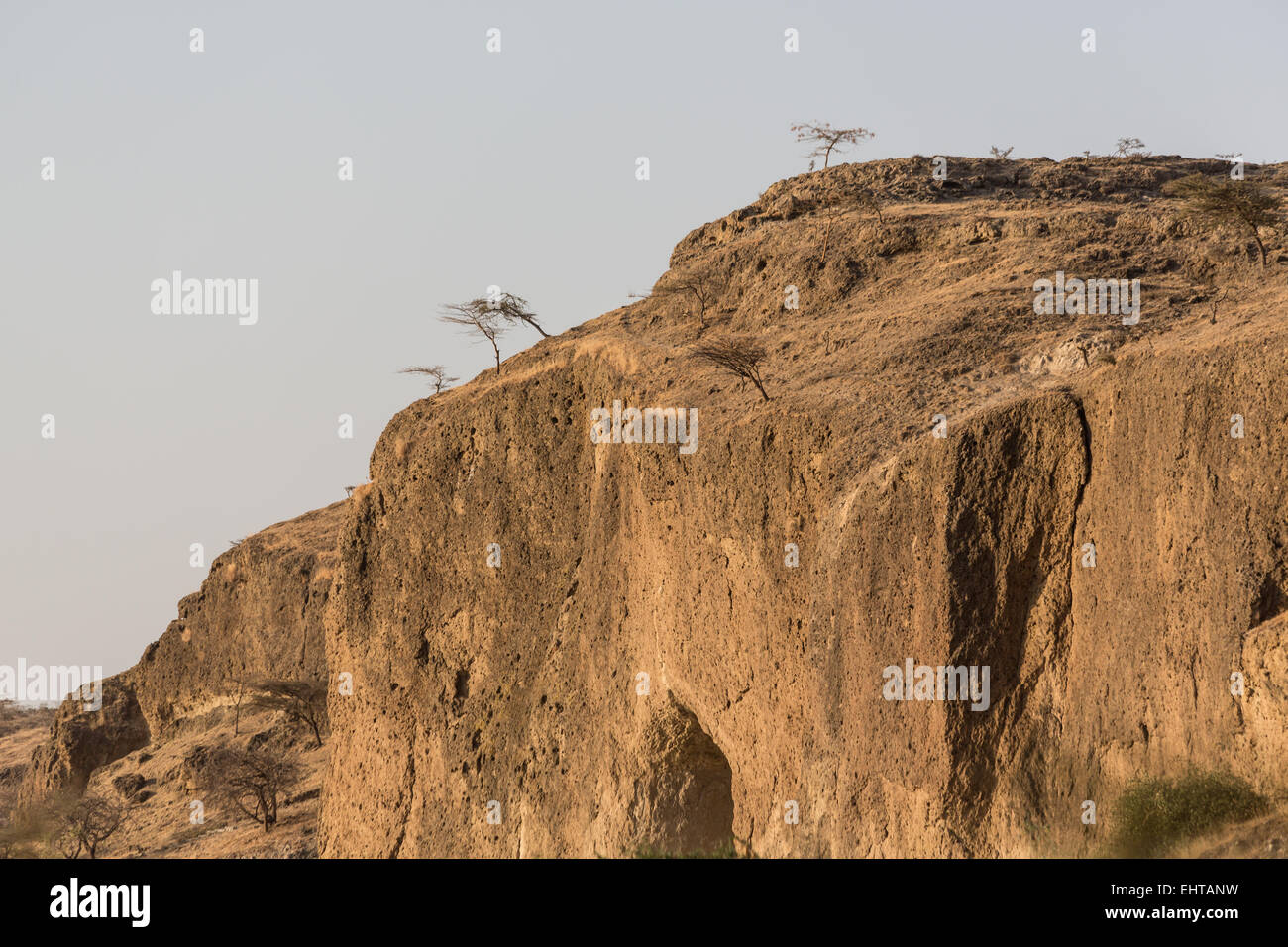 Landscape trees on rocky hi-res stock photography and images - Alamy