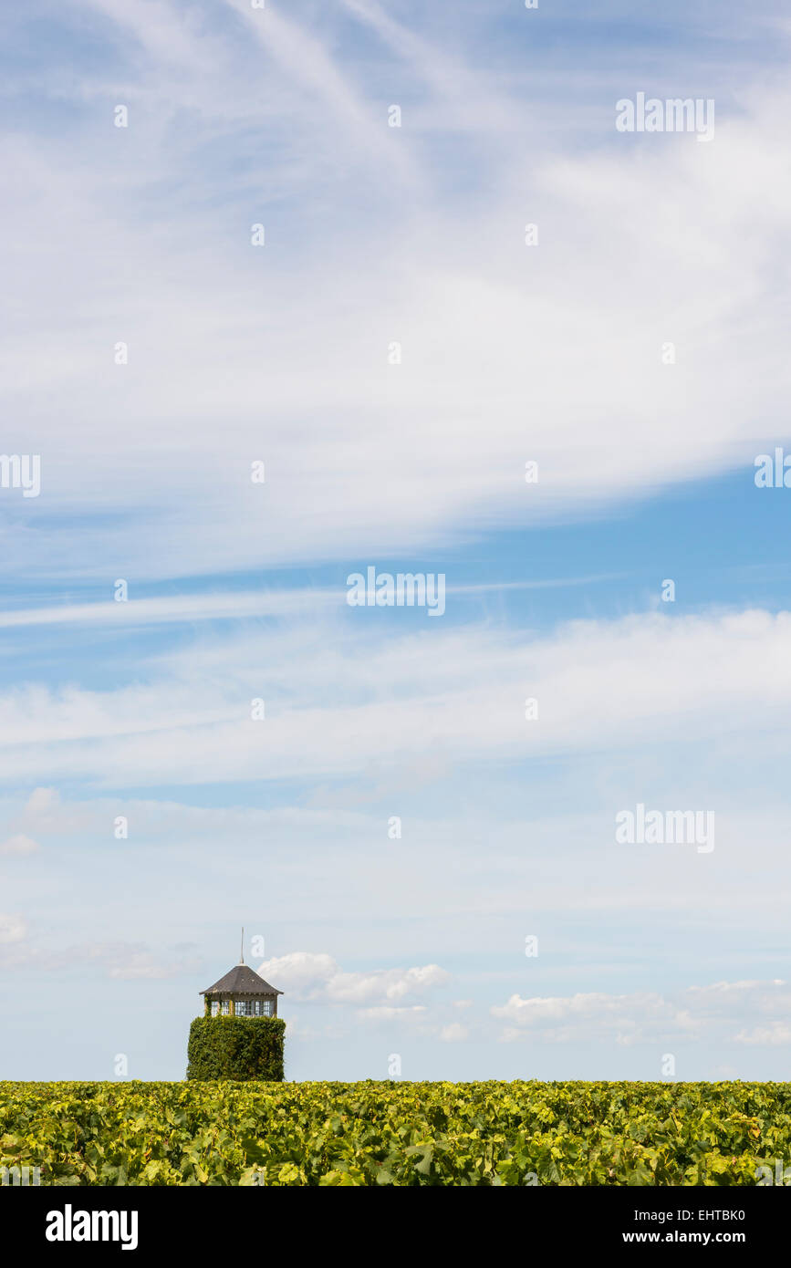 Vineyard with tower hi-res stock photography and images - Alamy