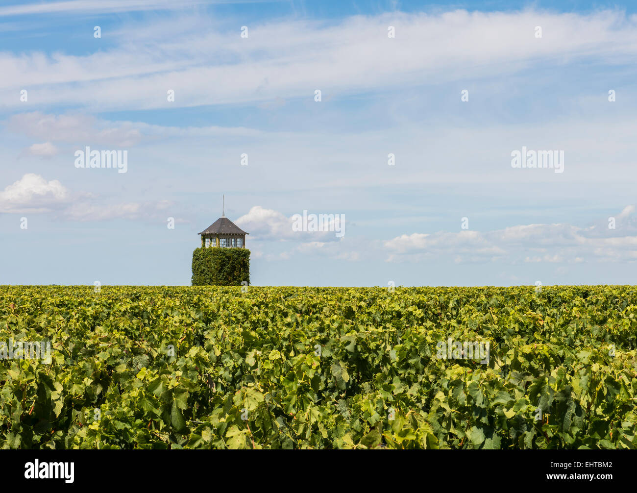Vineyard tower hi-res stock photography and images - Alamy
