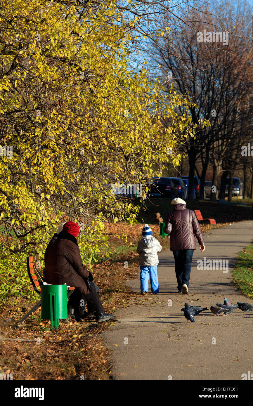 Bench in autumn park, Moscow Stock Photo - Alamy