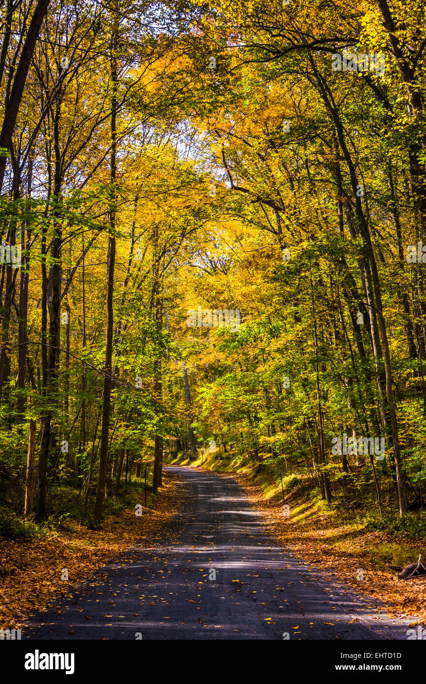 Autumn color along a country road in rural Baltimore County, Maryland ...