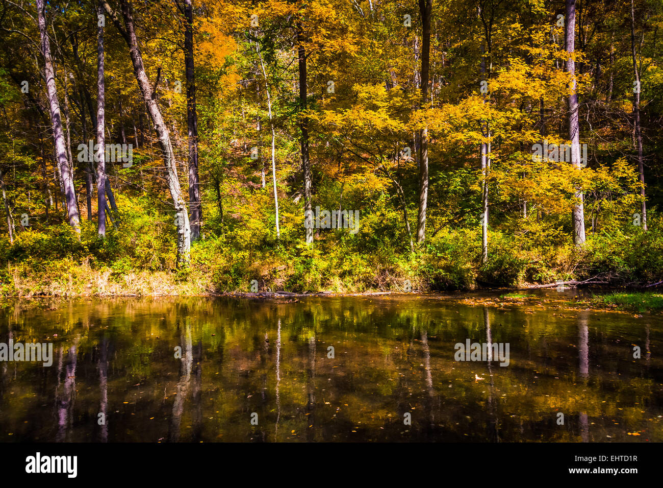 Autumn color along the Gunpowder River in Gunpowder Falls State Park ...