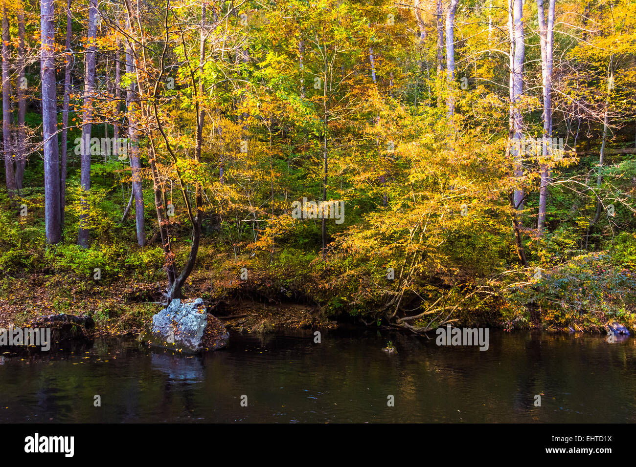 Autumn color along the Gunpowder River in Gunpowder Falls State Park ...