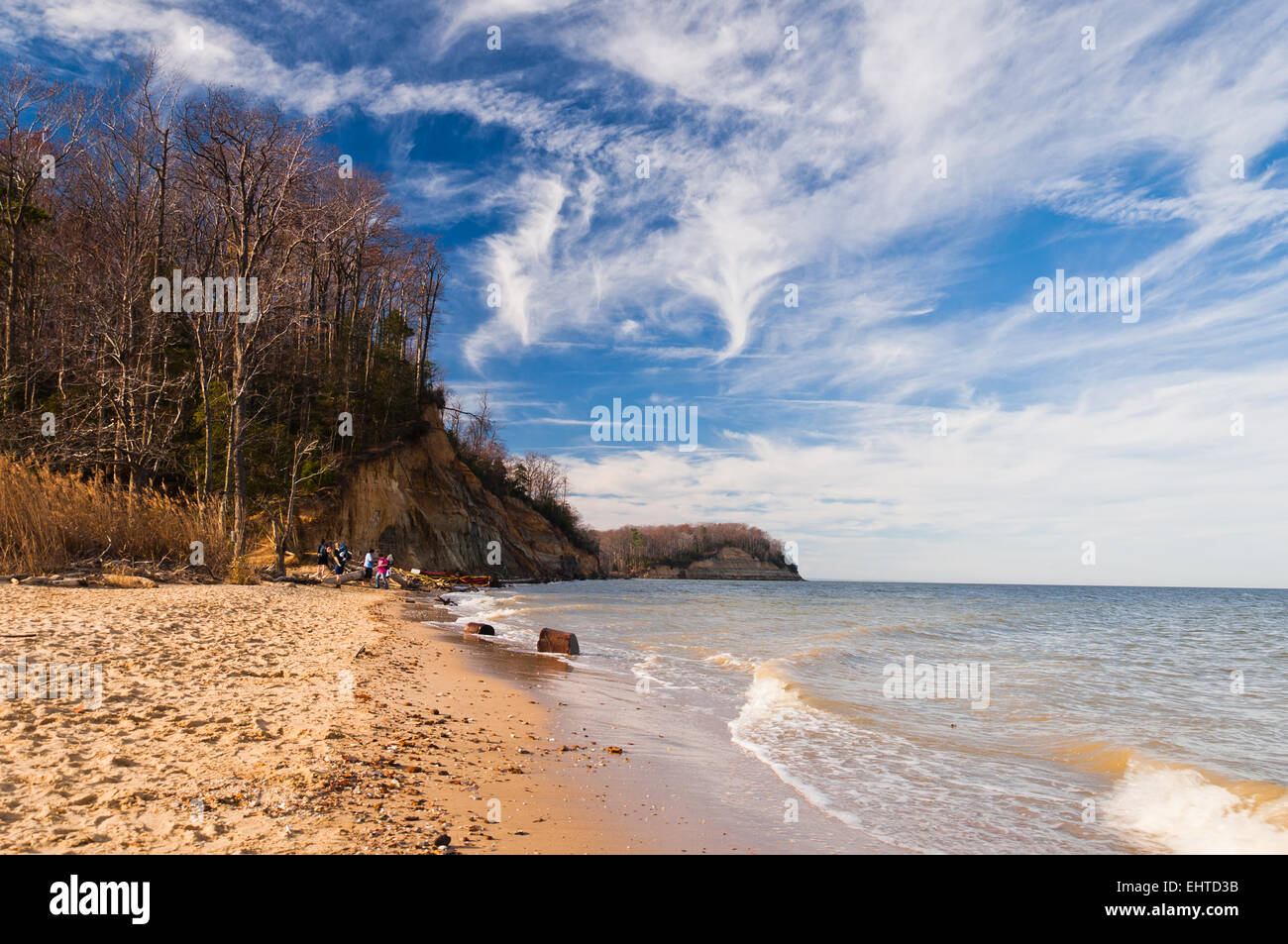 Beach and cliffs on the Chesapeake Bay at Calvert Cliffs State Park ...