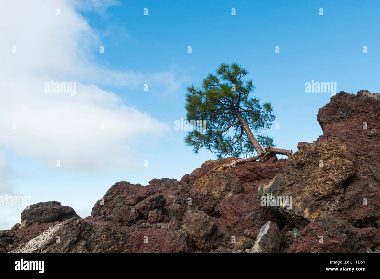 Canary islands national park hi-res stock photography and images - Alamy