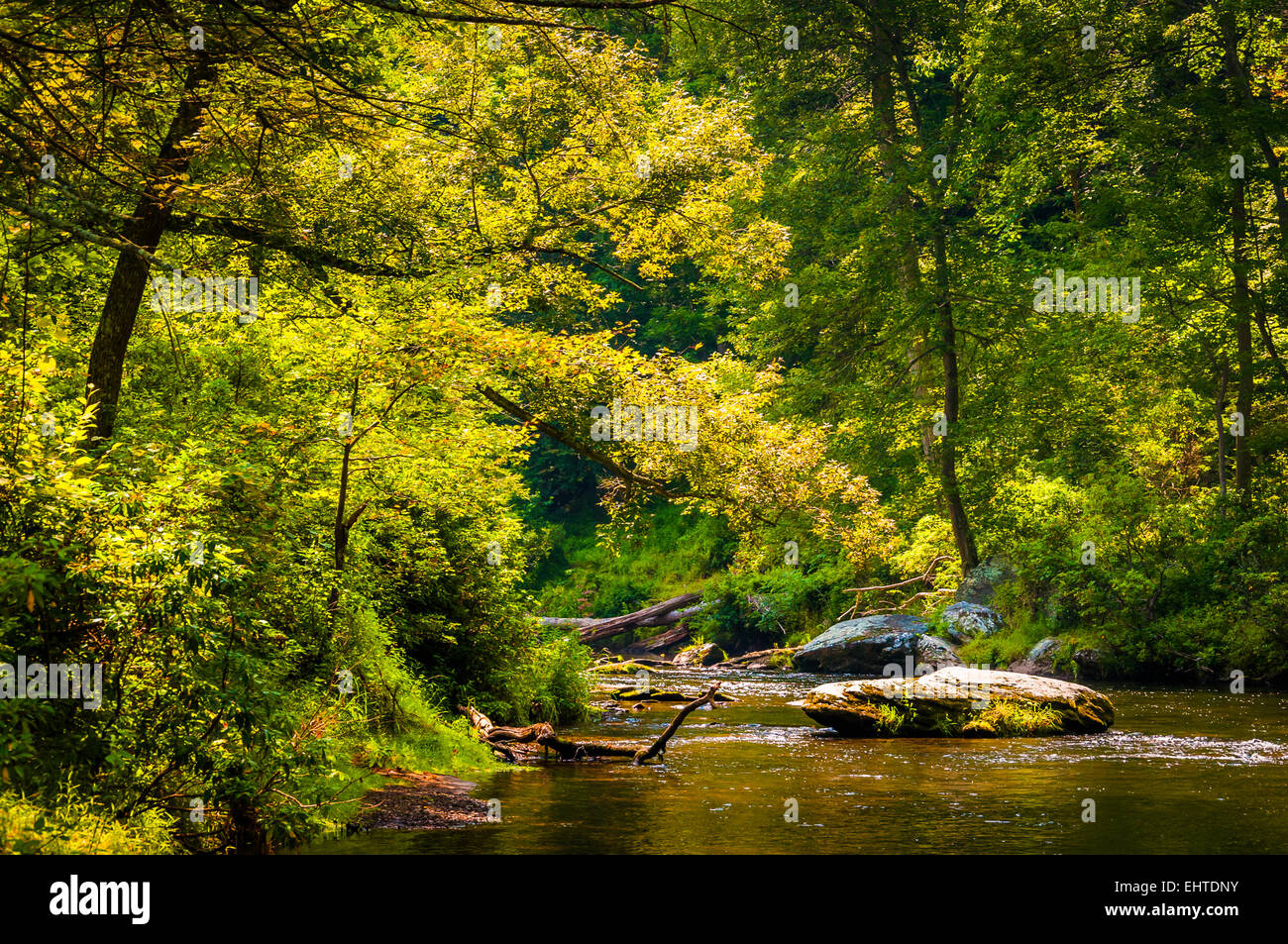 scene along Gunpowder Falls in Baltimore County, Maryland Stock Photo ...