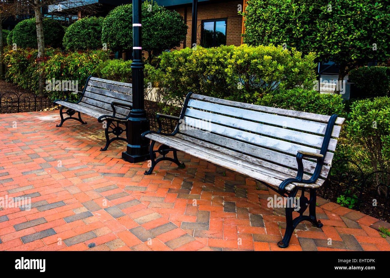 Benches and bushes on the Waterfront Promenade in Fells Point ...