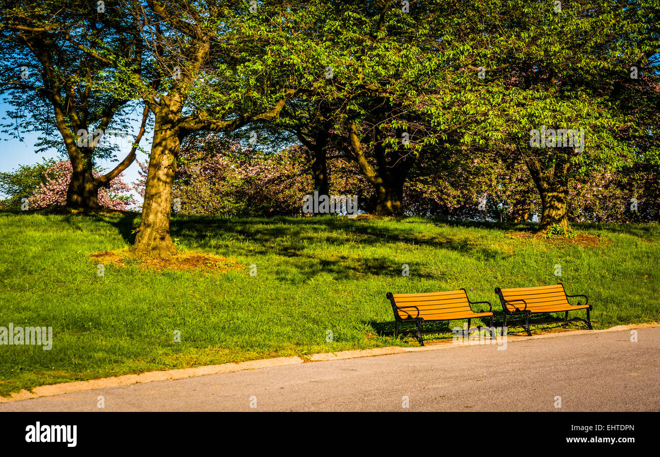 Benches along a path at Druid Hill Park, in Baltimore, Maryland Stock ...