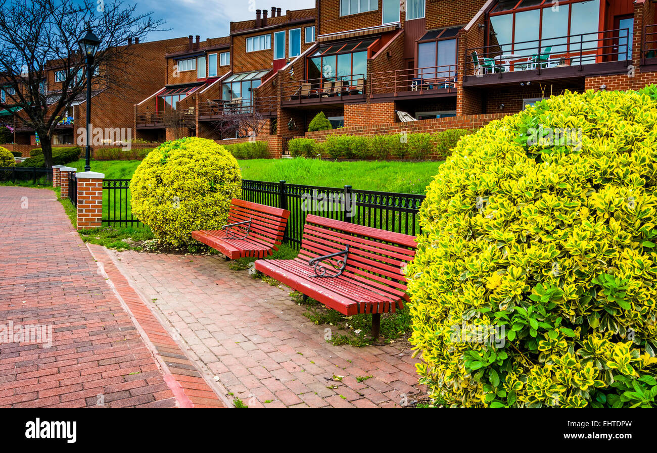 Benches and houses along the Waterfront Promenade in Canton, Baltimore ...